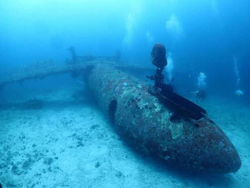 Discover Scuba Diving in Boracay - Key Points