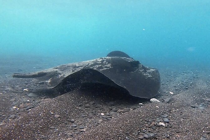 Discover Scuba Diving in Costa Calma - Preparing for the Dive: Essential Information