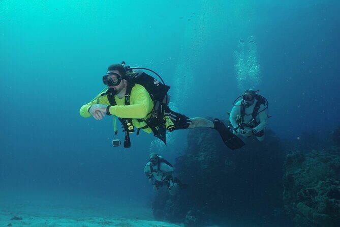 Discover Scuba Diving in Cozumel - The Experience and Reviews