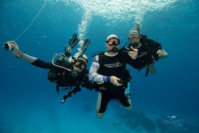 Discover Scuba Diving in Cozumel - Final Thoughts