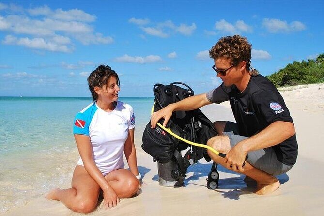 Discover Scuba Diving in Cozumel Paradise Reef - A Full Breakdown of the Tour Experience