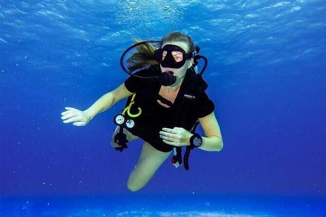 Discover Scuba Diving in Cozumel Paradise Reef - Value for Your Money