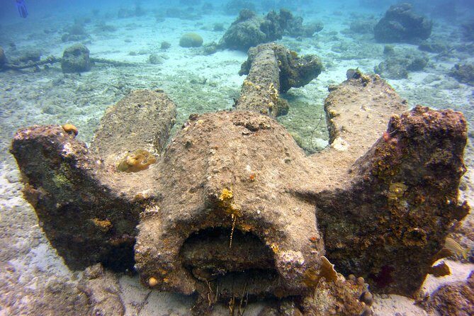 Discover Scuba Diving in Curacao - Practicalities and Tips