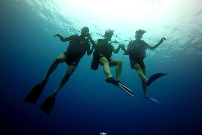 Discover Scuba Diving in Dharavandhoo - The Marine Environment: What Youll See