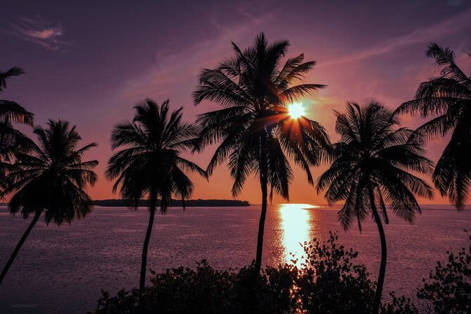 Discover Scuba Diving in Dharavandhoo - The Sum Up: Who Will Love This Experience?