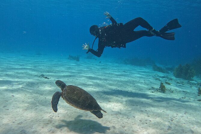 Discover Scuba Diving in Diver's Paradise! - Frequently Asked Questions