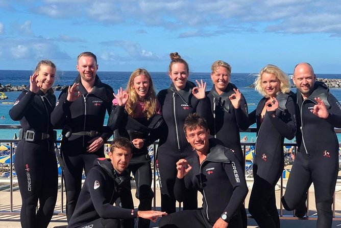 Discover Scuba Diving in Gran Canaria With Hotel Pick-Up - Encountering the Vibrant Sea Life