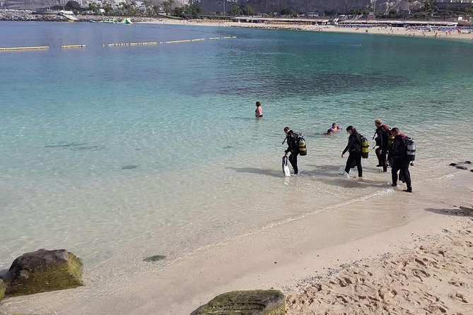 Discover Scuba Diving in Gran Canaria With Hotel Pick-Up - Welcoming Participants of All Abilities