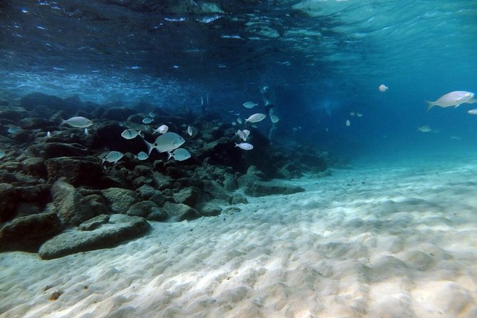 Discover Scuba Diving in Lanzarote (Costa Teguise) - Transportation and Meeting Point