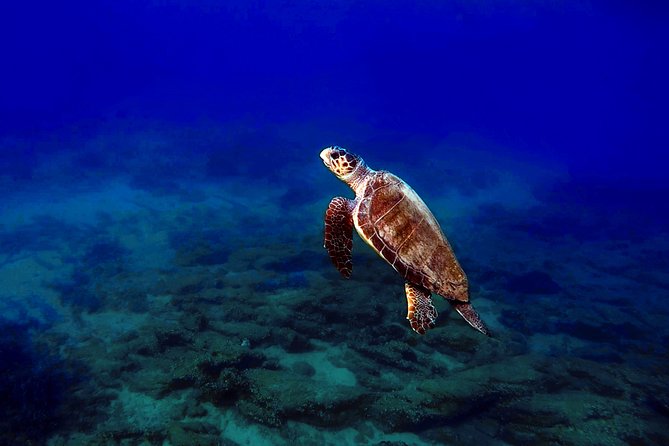 Discover Scuba Diving in Naxos, Greece - Pre-Dive Requirements