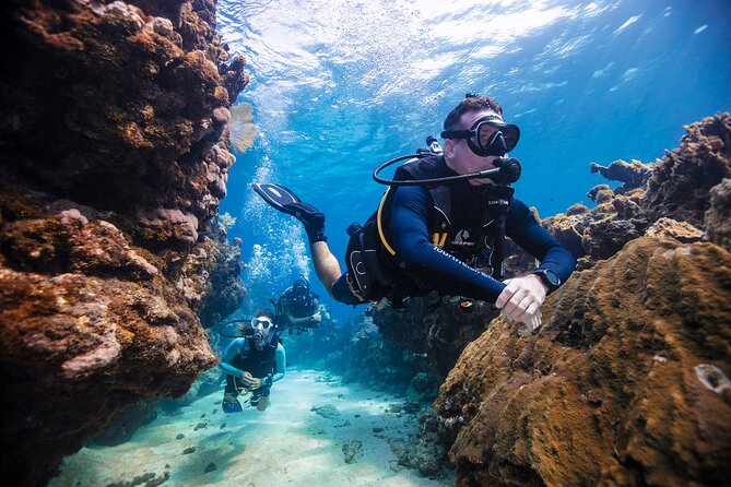 Discover Scuba Diving in Palamos - Inclusions and Pricing