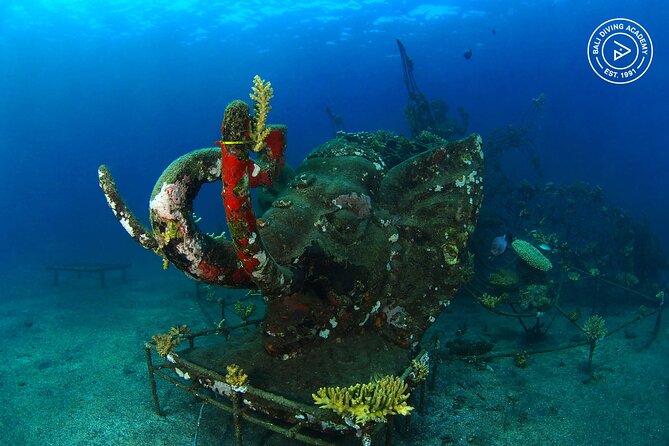 Discover Scuba Diving in Pemuteran at the Biorock site,1 shore dive all included - FAQ