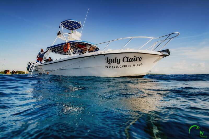 Discover Scuba Diving in Playa del Carmen - 2 dives - An introduction to Playa del Carmen’s underwater world