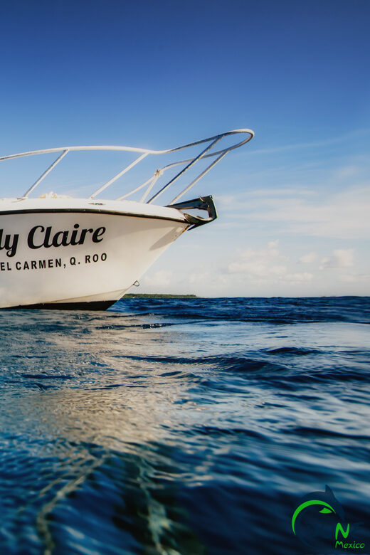 Discover Scuba Diving in Playa del Carmen - 2 dives - Who should consider this experience?