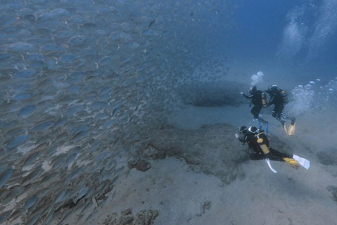 Discover Scuba Diving in Puerto De Mogan - Pool Practice
