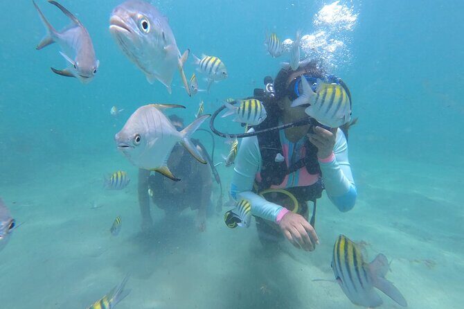 Discover Scuba Diving in San Juan: Perfect for First-Time Divers - Key Points