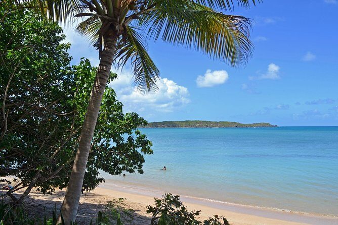 Discover Scuba Diving in San Juan: Perfect for First-Time Divers - FAQs