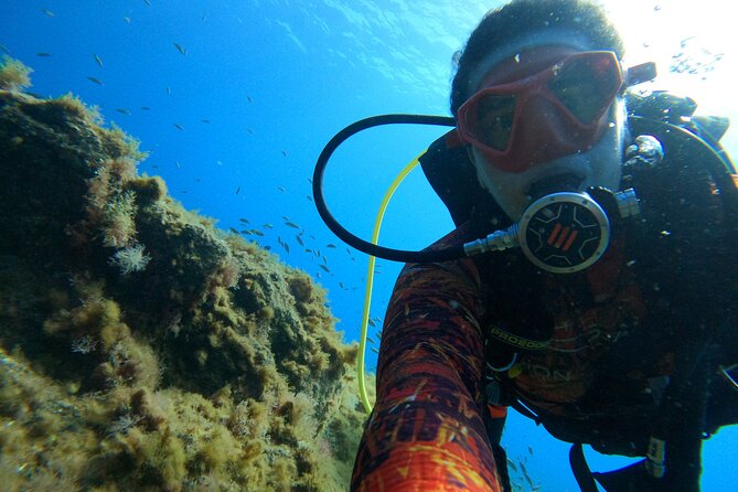 Discover Scuba Diving in Tenerife - Gear and Equipment