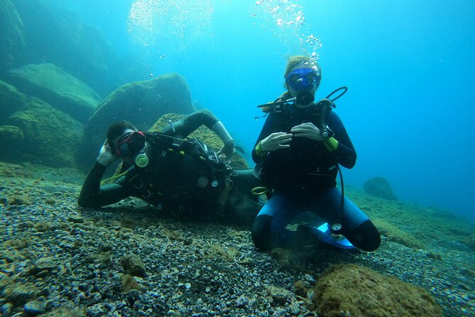 Discover Scuba Diving in Tenerife - Photographic Opportunities
