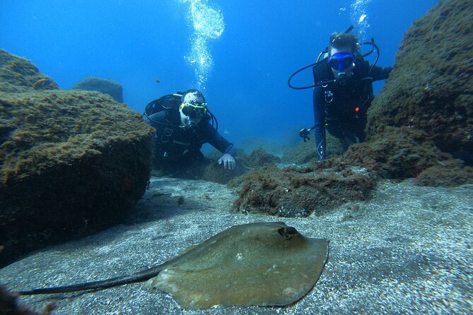 Discover Scuba Diving in Tenerife - Included Amenities