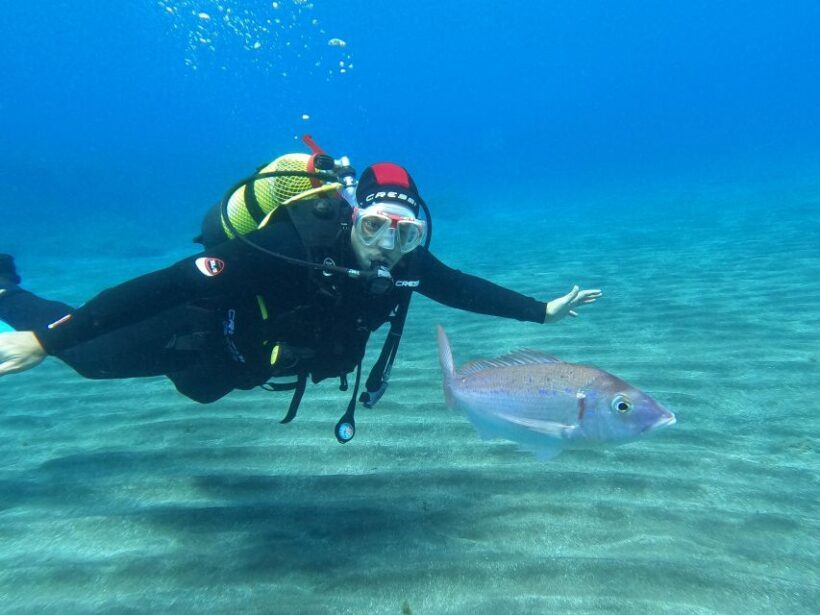 Discover Scuba Diving in the ocean, Snacks included - The Meeting Point and Logistics