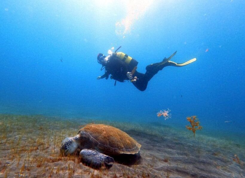 Discover Scuba Diving in the ocean, Snacks included - Final Thoughts