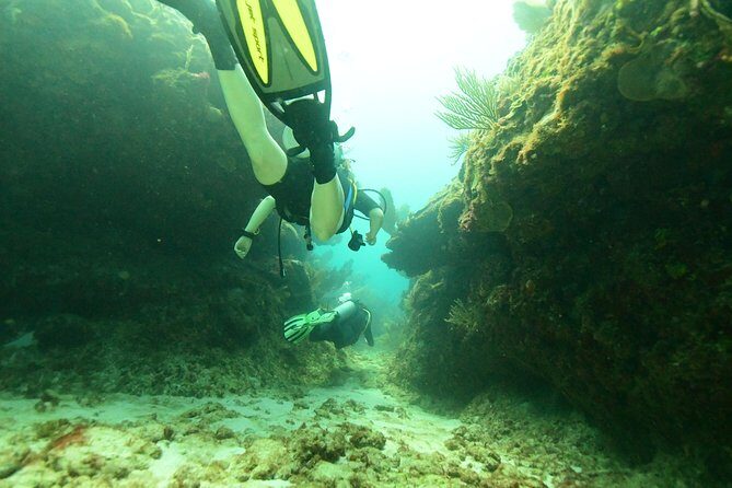 Discover Scuba Diving in Tulum - Authentic Experiences from Travelers