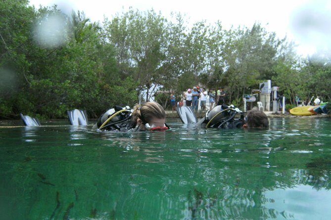Discover Scuba Diving in Tulum - The Sum Up: Who Is This Tour Perfect For?