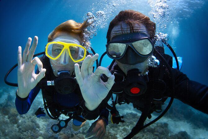Discover Scuba Diving in Waikiki - The Itinerary Breakdown