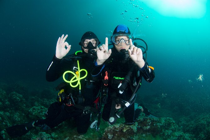 Discover Scuba Diving PADI - Trial dive in Sorrento - Key Points
