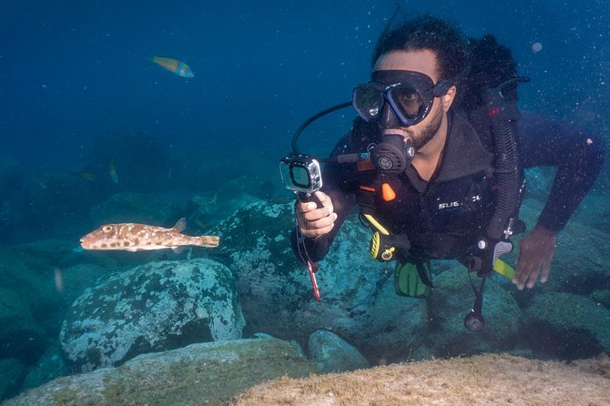 Discover Scuba Diving, Playa De Las Americas - What Travelers Say About the Scuba Diving Activity