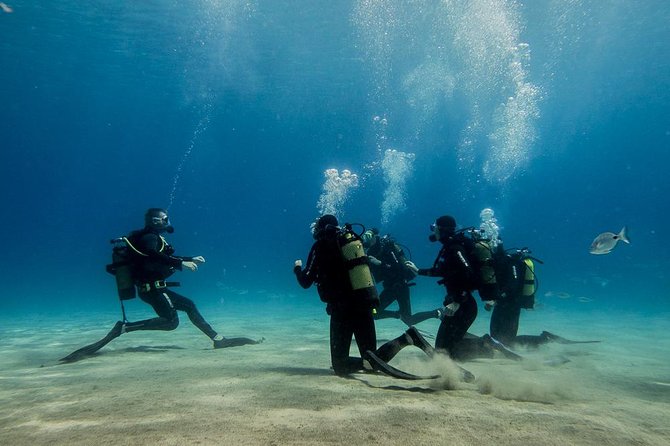 Discover Scuba Diving Review: An Underwater Adventure - Pickup and Meeting Location