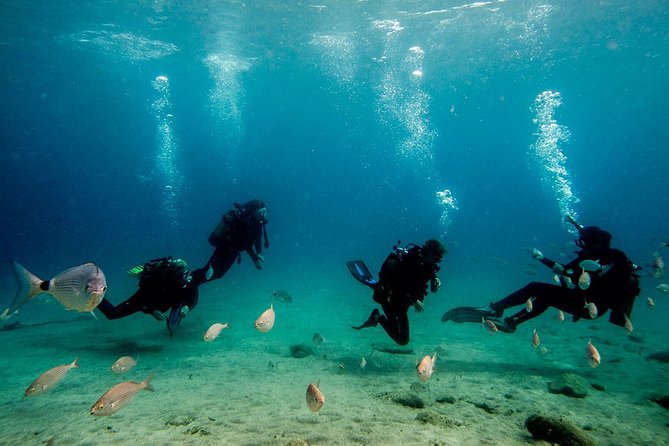 Discover Scuba Diving Review: An Underwater Adventure - Accessibility and Requirements
