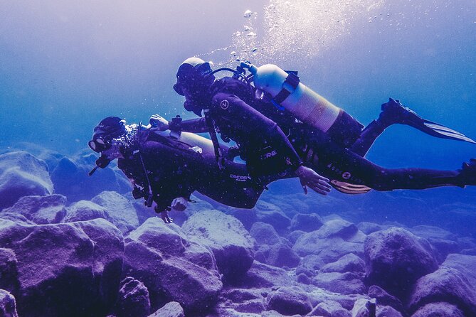 Discover Scuba Diving, Tenerife. Photos and Videos Included - Stunning Marine Life Encounters