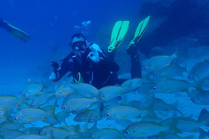 Discover Scuba Diving, Tenerife. Photos and Videos Included - Customer Reviews and Testimonials