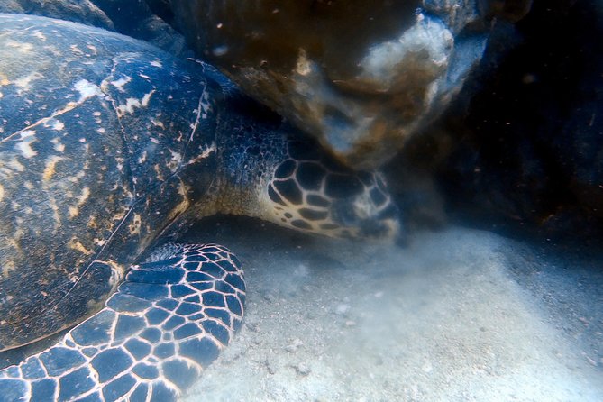 Discover Scuba Diving, try dive for beginners ( Start at Ko Kut) - FAQs