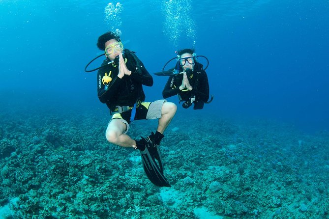 Discover Scuba diving, try diving for beginners (starts from Koh Chang) - Authentic Experiences and Honest Insights