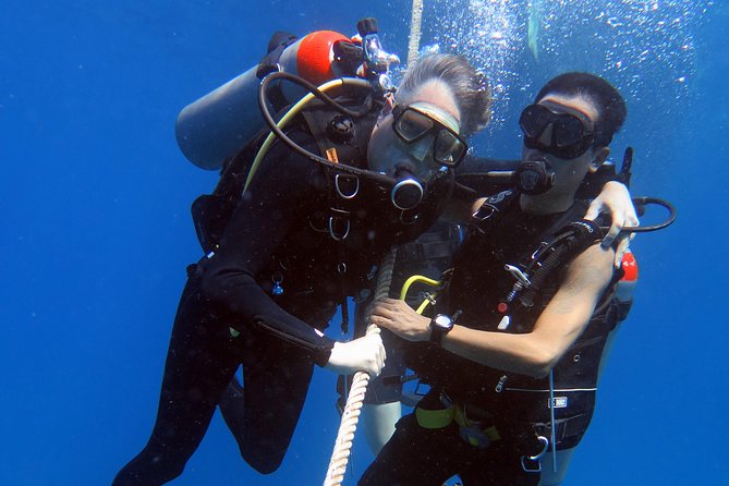 Discover Scuba diving, try diving for beginners (starts from Koh Chang) - The Sum Up
