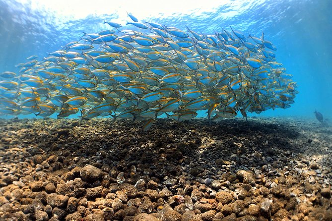 Discover Scuba Diving Tulamben Bali For Non-Certified Divers - What’s Included and What’s Not