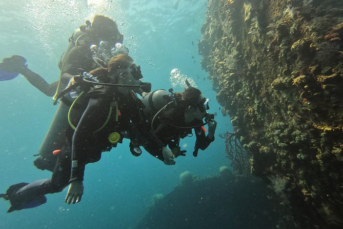 Discover Scuba Diving Tulamben Bali For Non-Certified Divers - The Experience’s Strengths and Limitations
