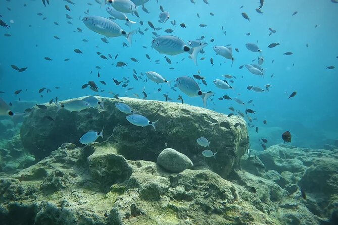 Discover SCUBA Diving With Pissouri Bay Divers - Health and Safety Guidelines