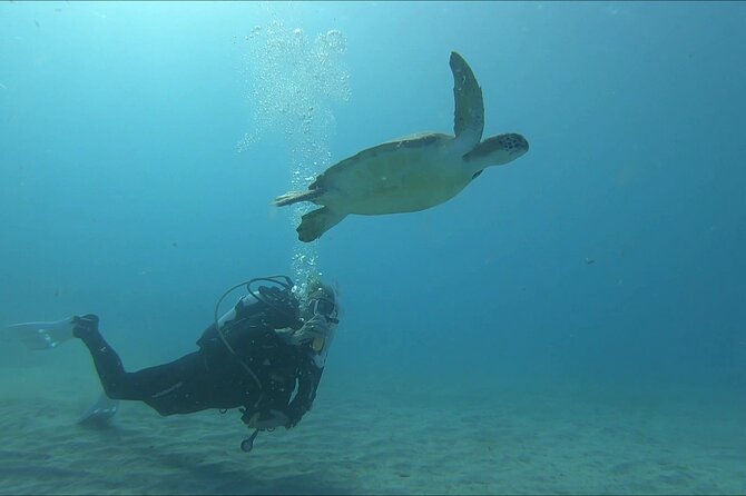 Discover SCUBA Diving With Pissouri Bay Divers - Customer Feedback and Ratings