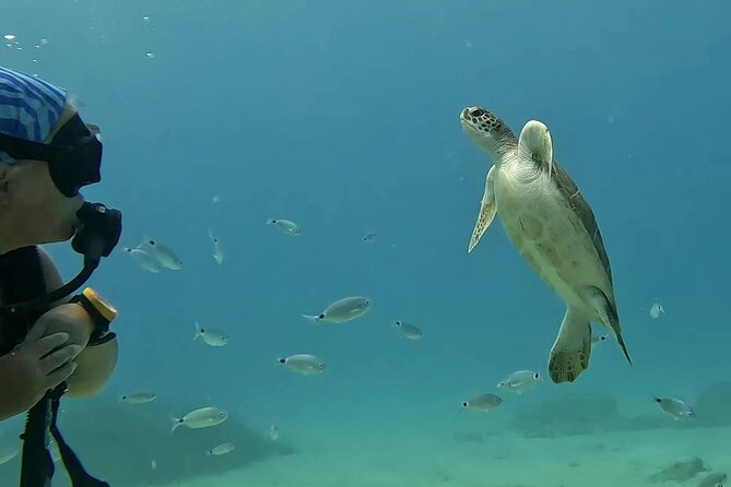 Discover SCUBA Diving With Pissouri Bay Divers - Booking Process and Payment Options