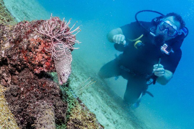 Discover Scuba experience at Las Caletas, Puerto Vallarta - The Sum Up