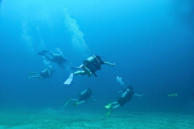 Discover Scuba experience at Las Caletas, Puerto Vallarta - Frequently Asked Questions