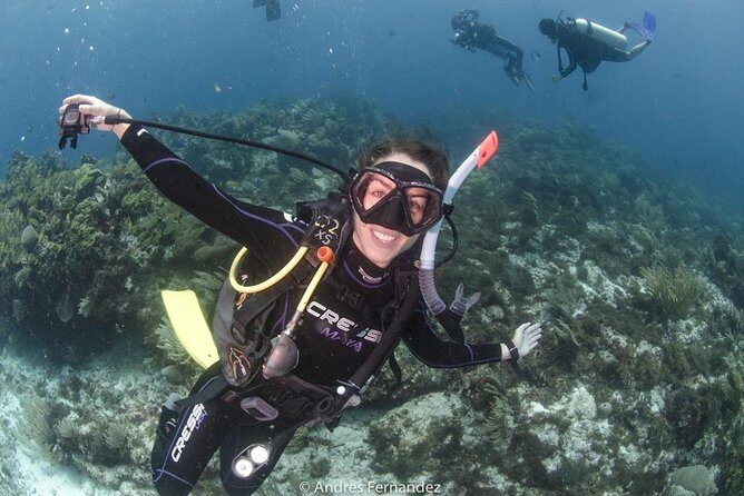 Discover scuba ,MUSA and Manchones reef dive without license - An In-Depth Look at the Experience