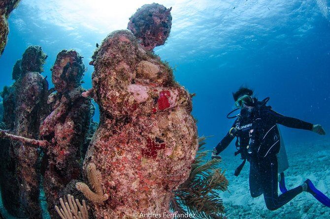 Discover scuba ,MUSA and Manchones reef dive without license - FAQs