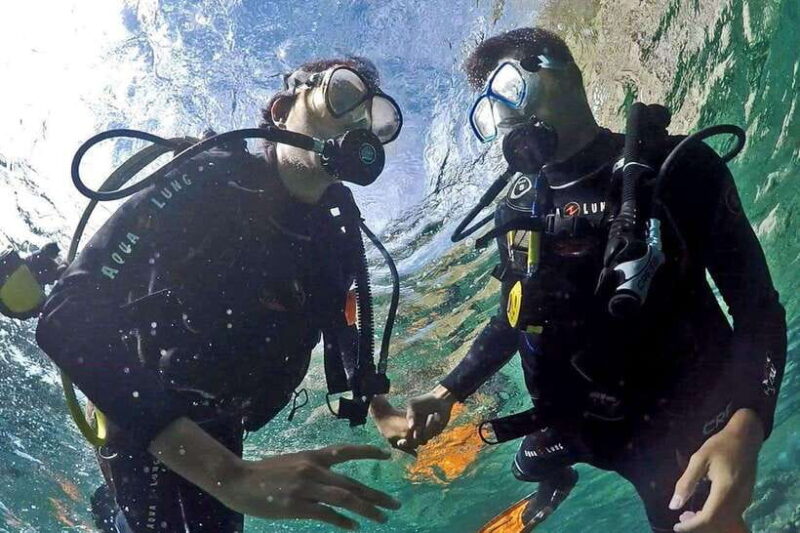 Discover Scuba: PADI Intro Dive in Dauin - Who Is This Tour Best For?