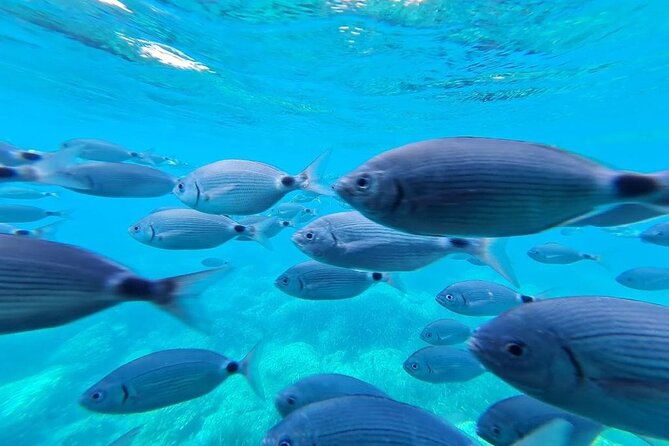 Discover secrets of the sea swimming cave and underwater vision - Who Should Book This Tour?