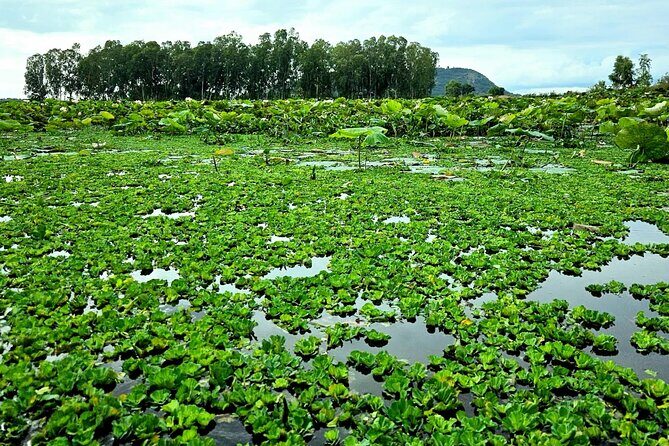 Discover Siem Reap's beauty on thrilling half-day motorbike tour - The Sum Up